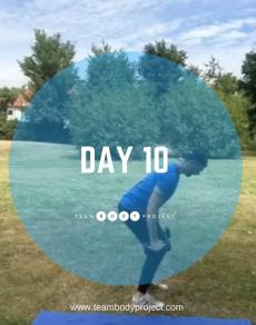 Live Workouts | Team Body Project