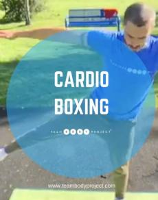 Live Workouts | Team Body Project